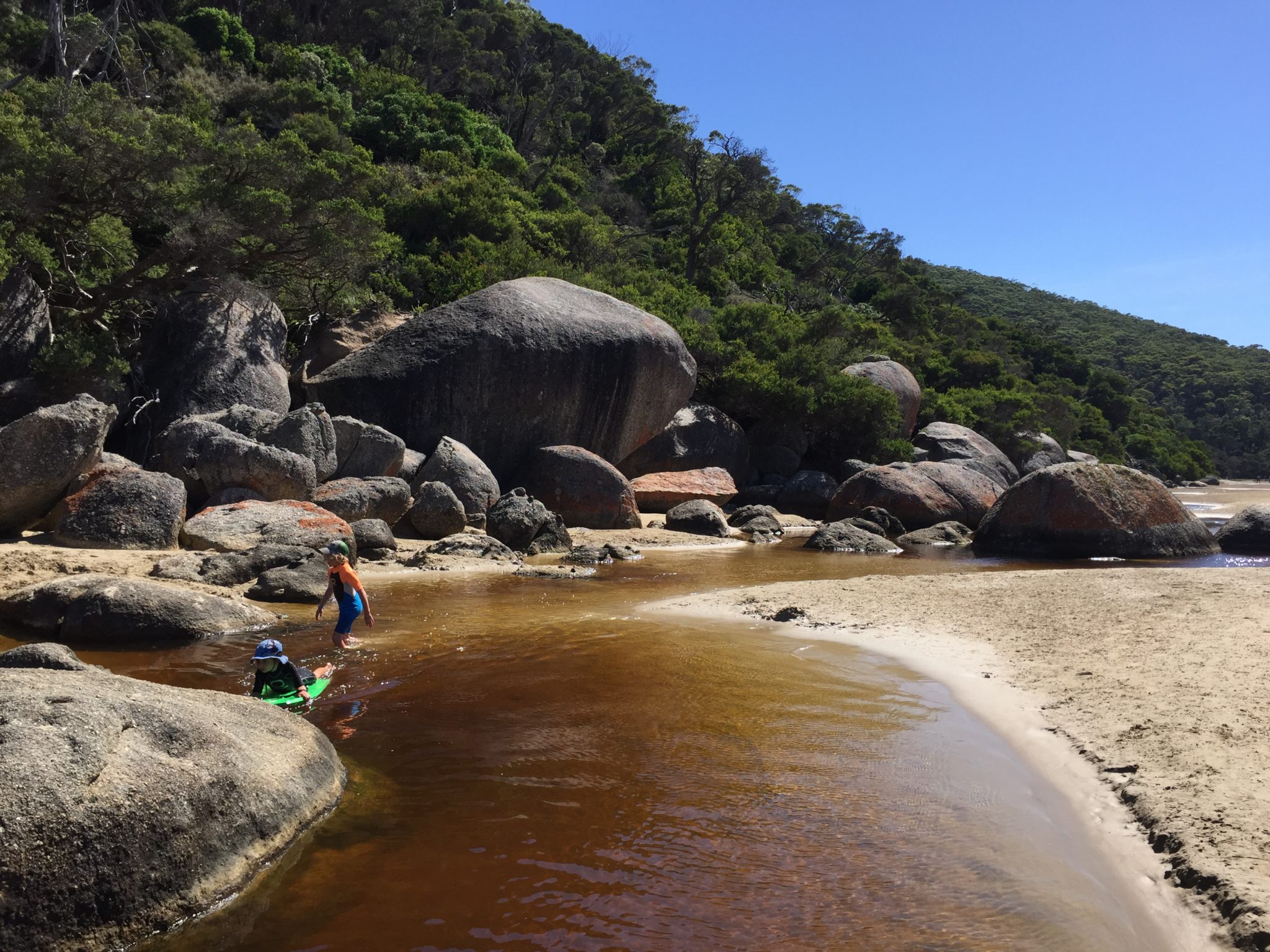 Wilsons Prom Highlights - Why you Should Go and Where to Stay