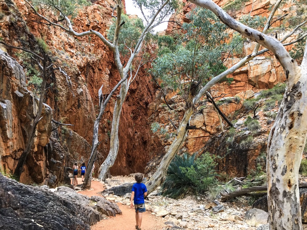 Into the Outback: Our Red Centre Australia Road Trip - 5 Lost Together